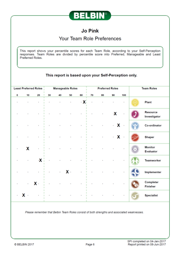 Using Belbin In... Employee Engagement