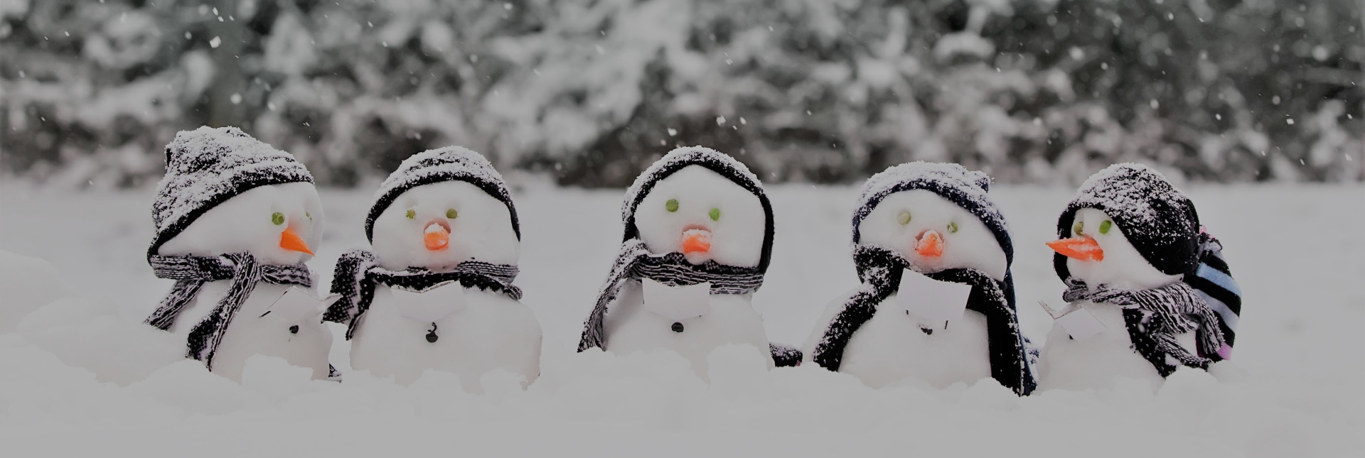 A Team Role Approach to Christmas