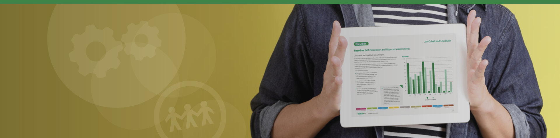 Belbin Working Relationship reports