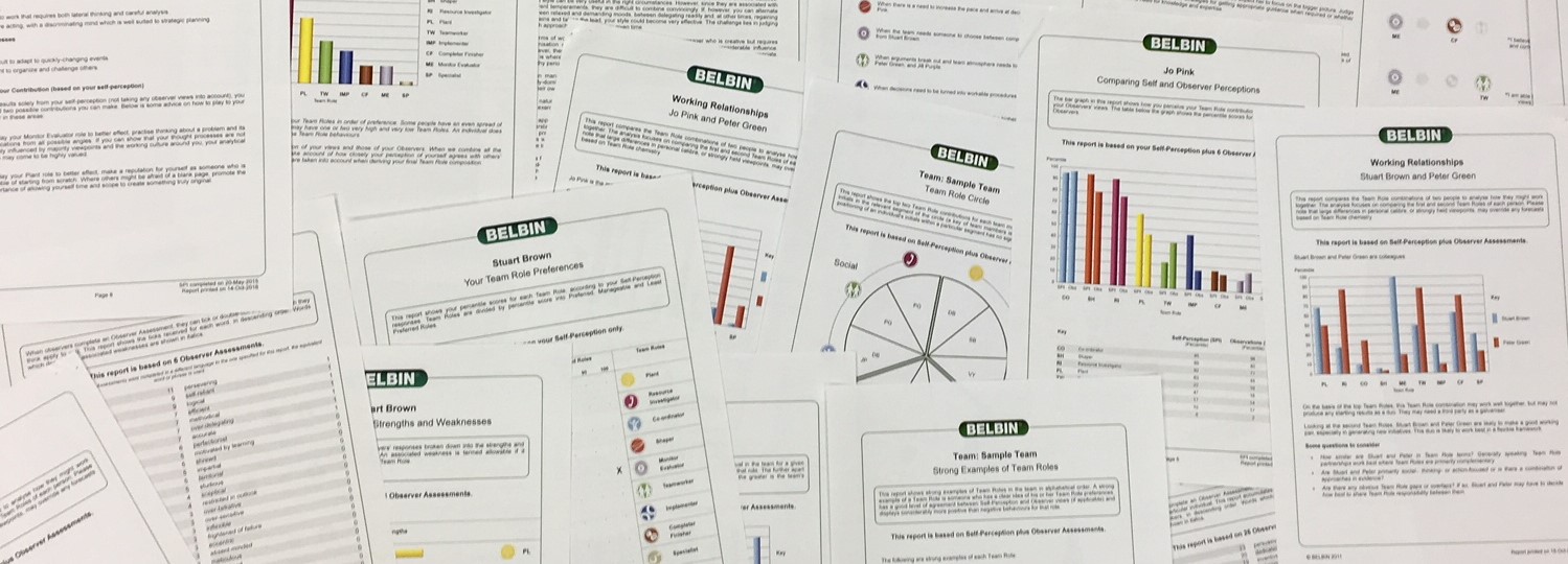 Belbin team roles test free pdf - iegase