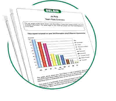 Behavioural & Psychometric Tests | Belbin