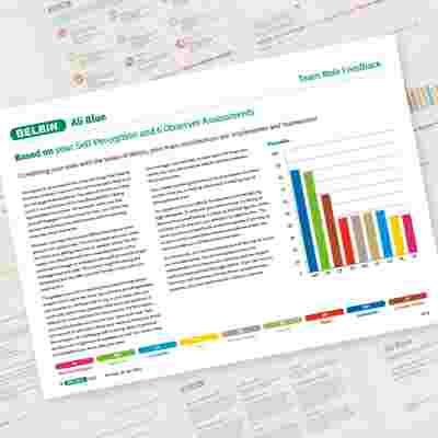 Belbin | High Performing Teams