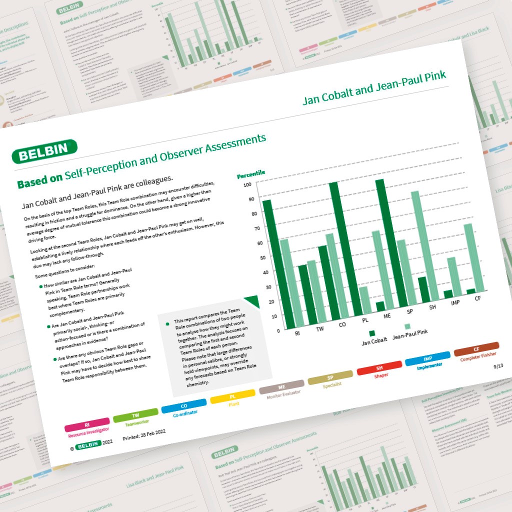 Managing conflict with Belbin Team Roles