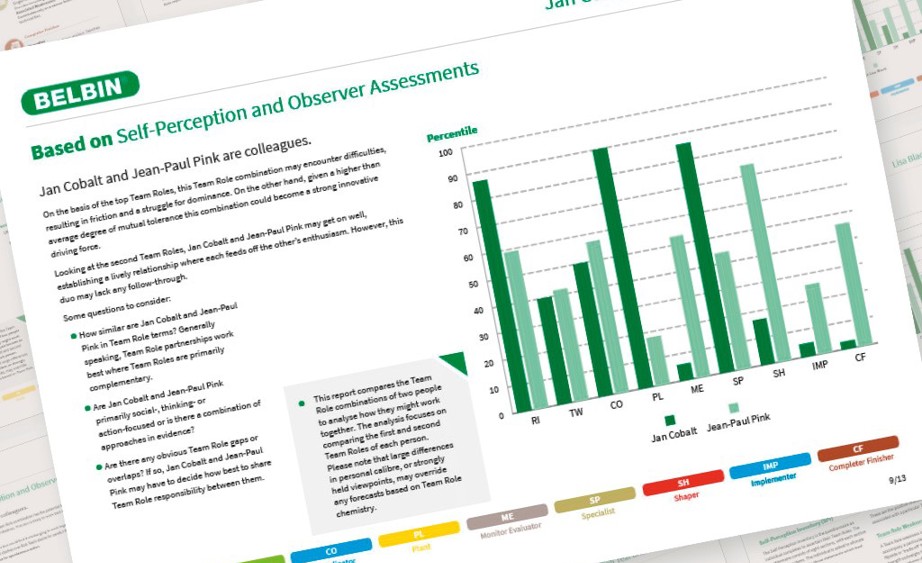 Managing conflict with Belbin Team Roles