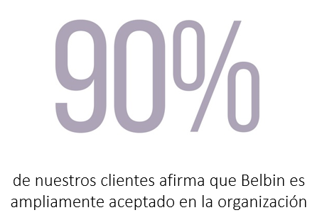 Belbin team roles questionnaire - longgasm