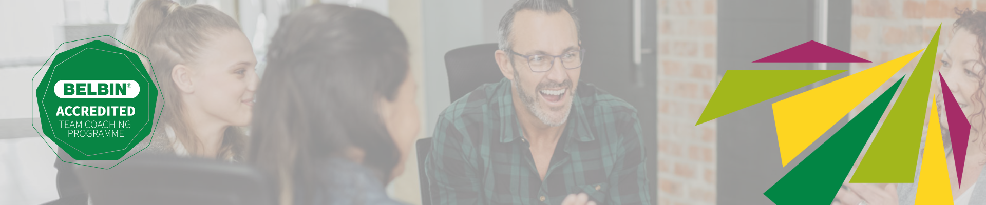 Belbin Accredited Team Coaching Programme