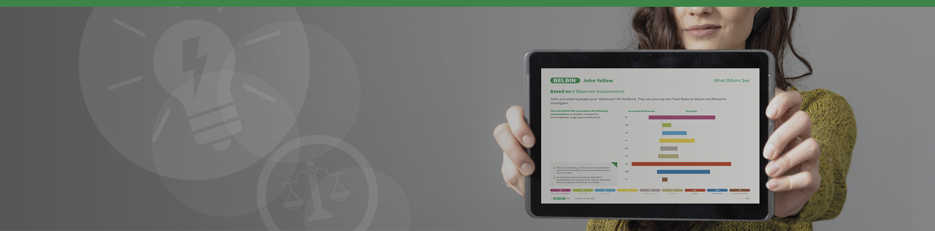 Belbin Individual Reports