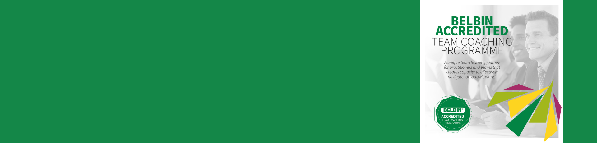 Belbin launches new Team Coaching Programme